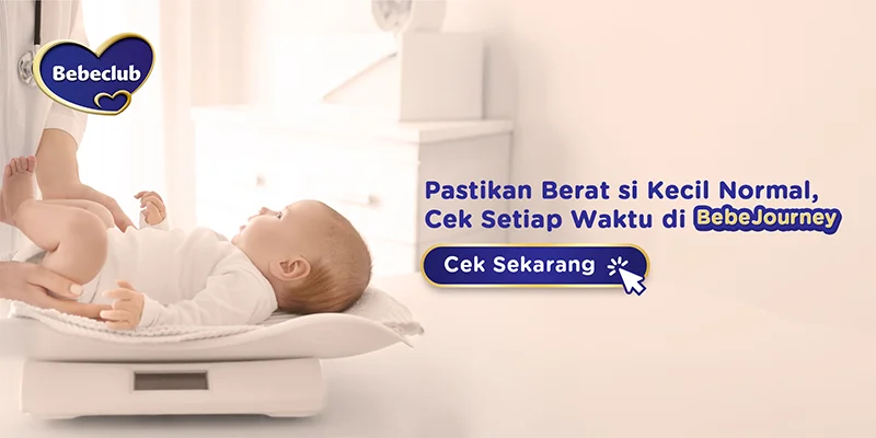Panduan Berat Badan Bayi Normal Usia 0-12 Bulan