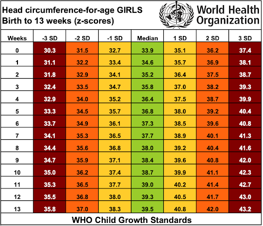 Ukuran Lingkar Kepala Bayi Normal Sesuai Usianya